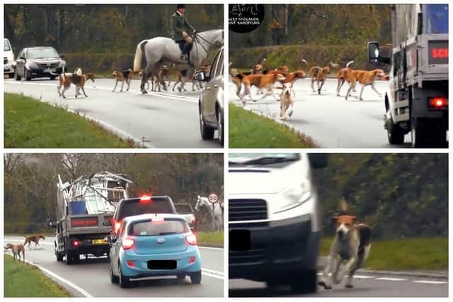 How a secret police protocol gave special treatment to Warwickshire Hunt - Netpol